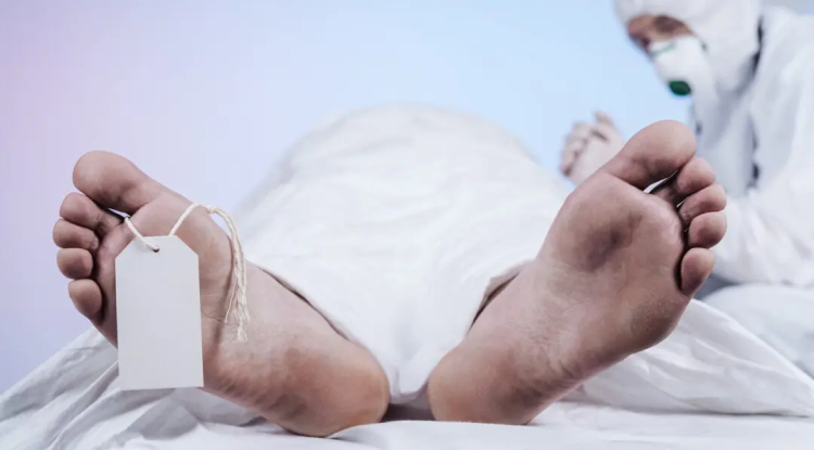How a Forensic Autopsy Really Works - India's Trusted Blog on ...